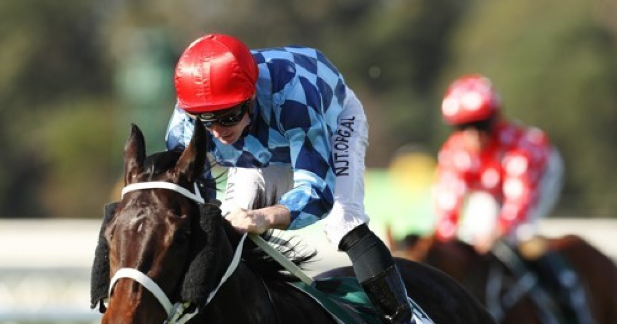 AUSTRALIA HORSE RACING