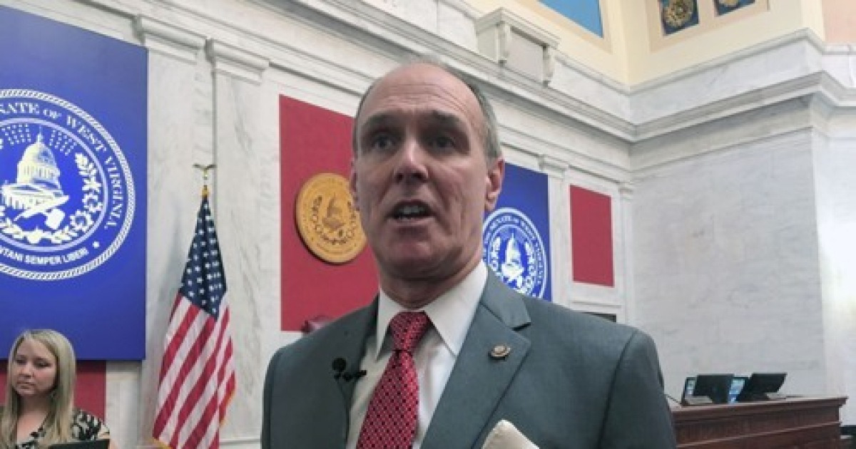 Election 2020 West Virginia Senate