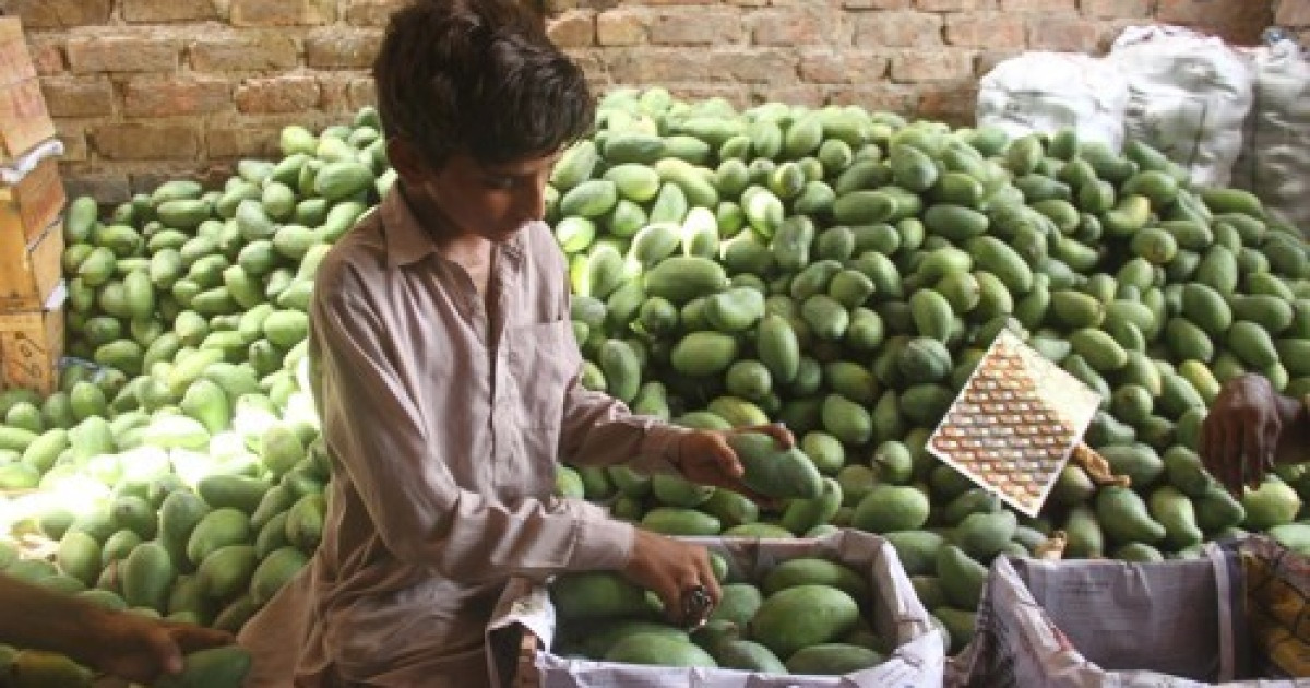 PAKISTAN CHILD LABOR