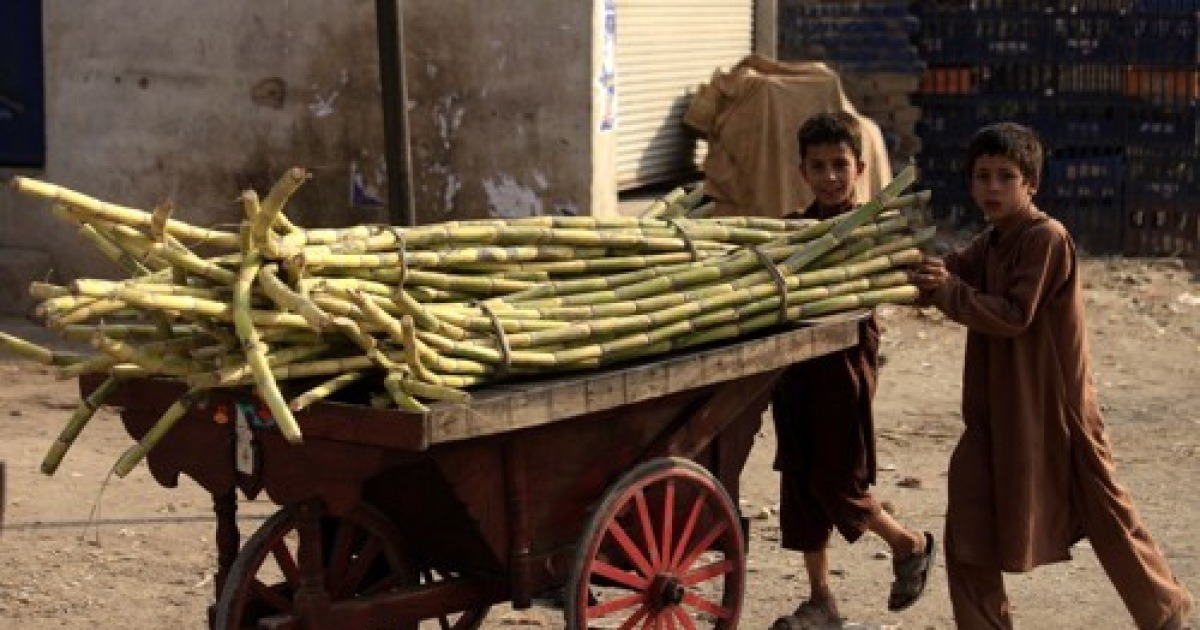PAKISTAN CHILD LABOR