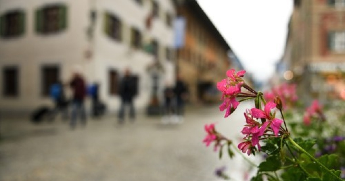 GERMANY WEATHER SEASONS