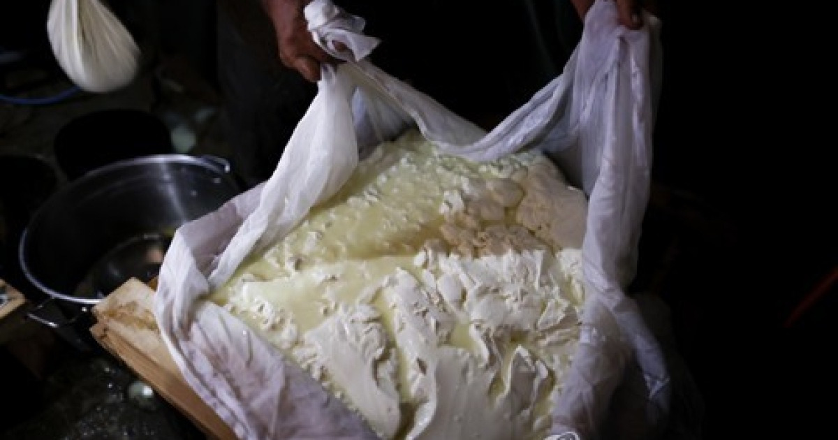 KOSOVO SERBIA PHOTO SET AGRICULTURE CHEESE