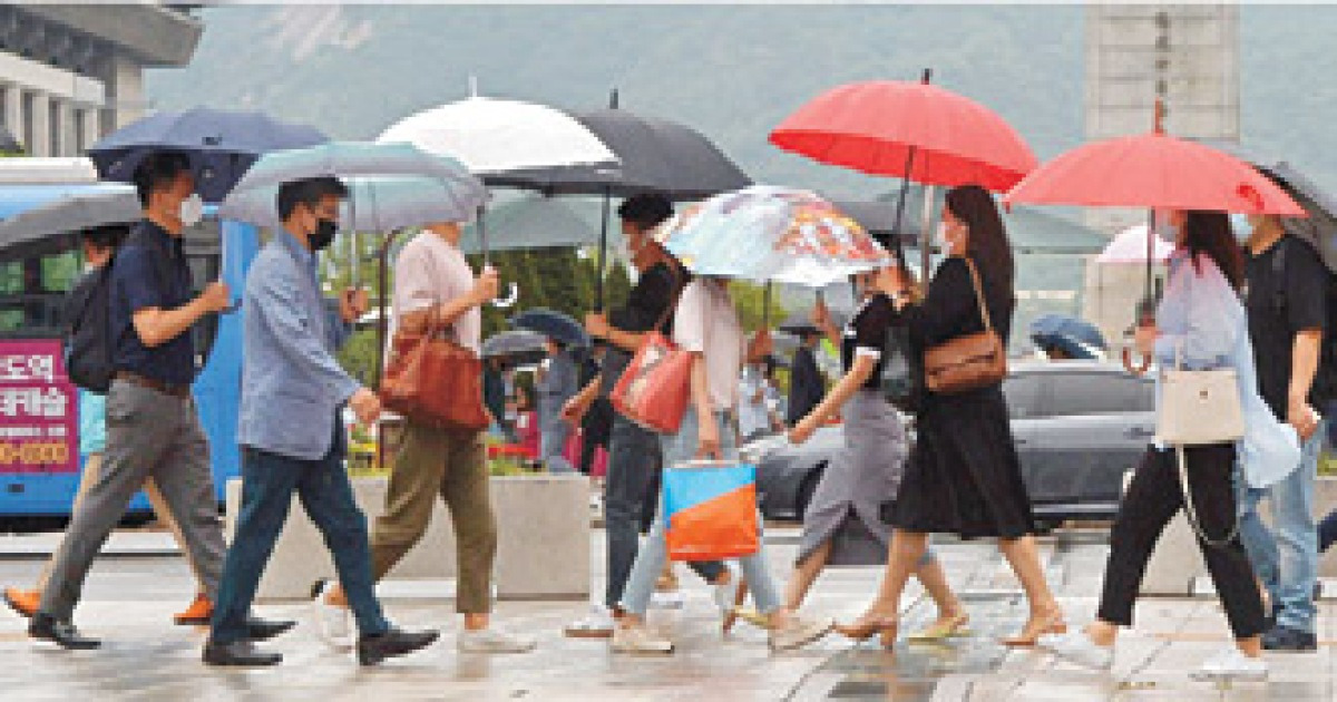 오늘부터 본격 장마