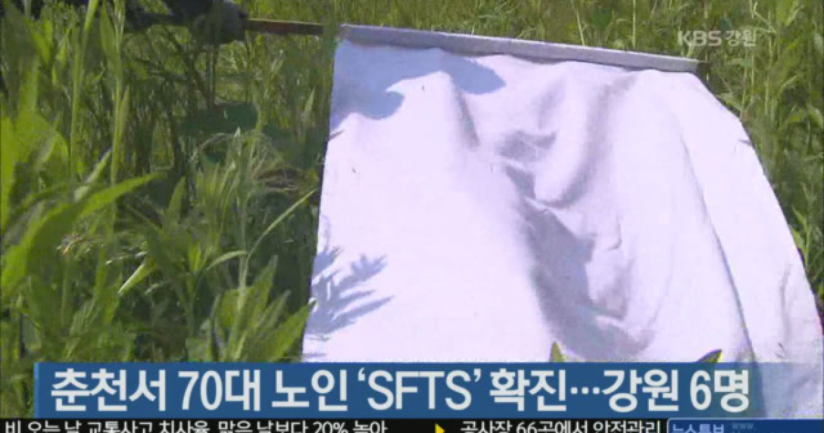 춘천서 70대 노인 'SFTS' 확진..강원 6명