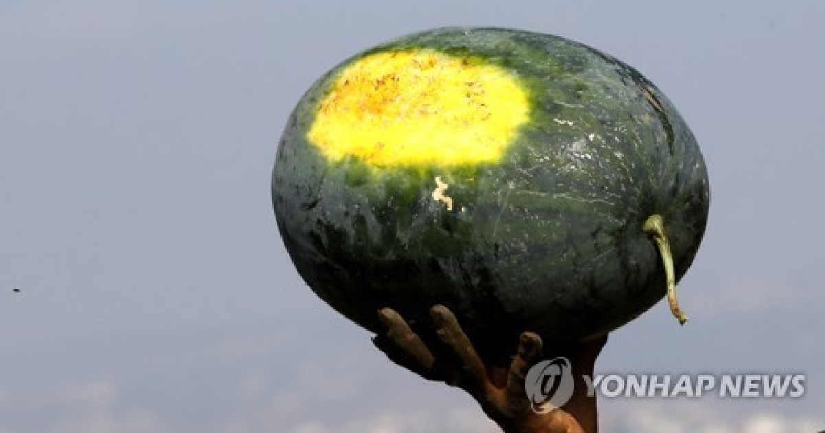 MIDEAST AGRICULTURE WATERMELONS