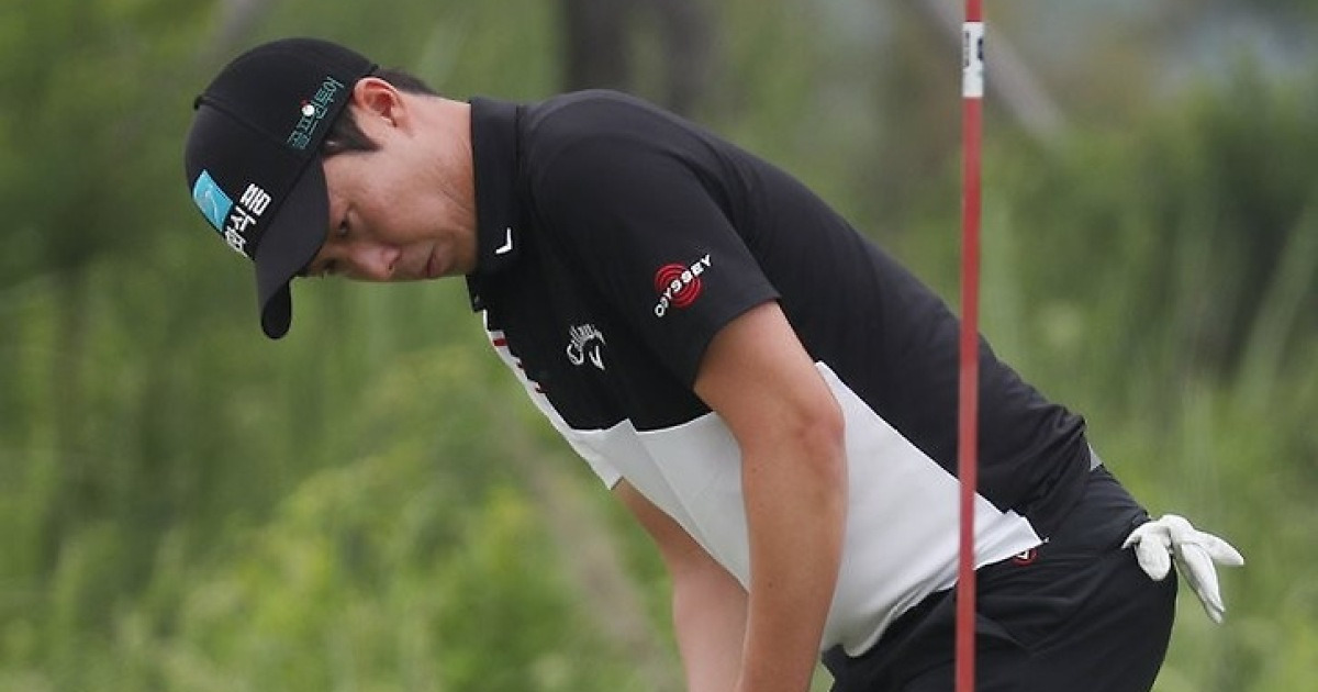 들어가라, 들어가라!