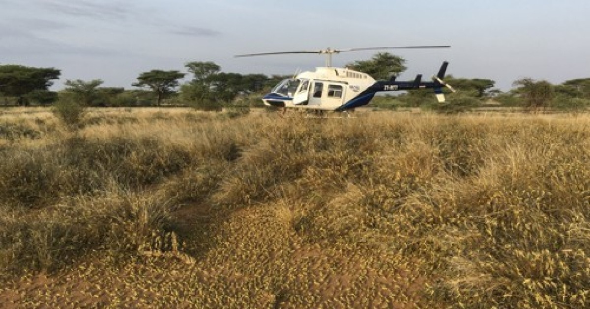 Africa Locust Outbreak Kenya