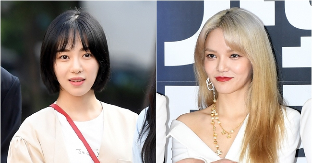 [Y이슈] 권민아 폭로→지민 탈퇴..AOA 위기+FNC 입장 촉구ing(종합)