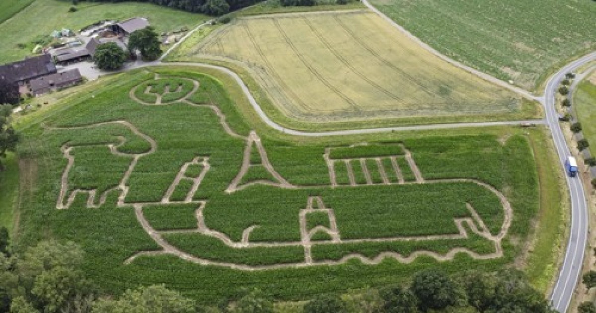 Germany Europe Corn Maze