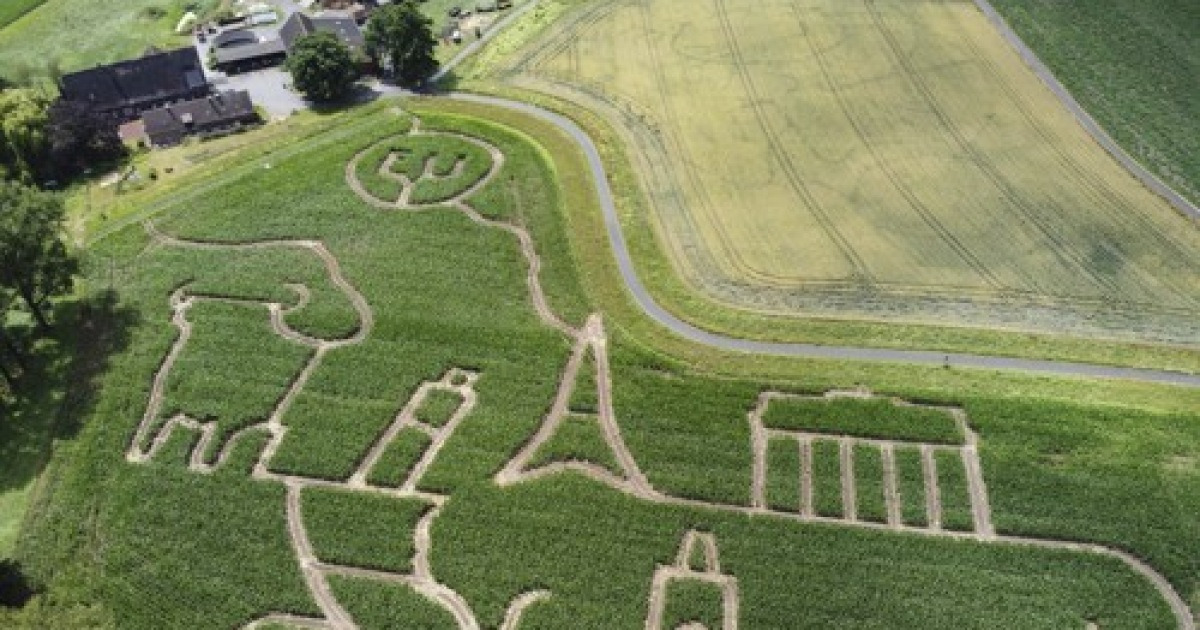 Germany Europe Corn Maze