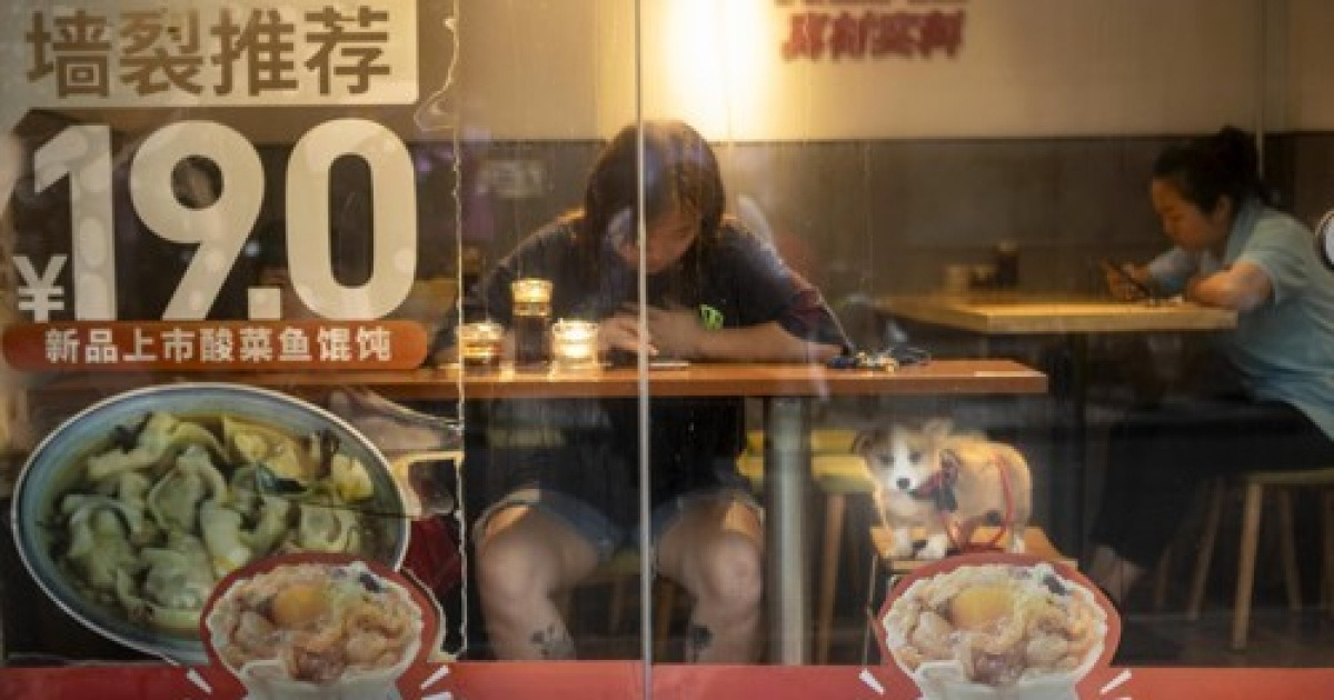 CHINA CONSUMER PRICE INDEX DATA