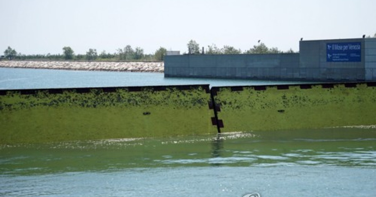 epaselect ITALY VENICE LAGOON MOSE PROJECT