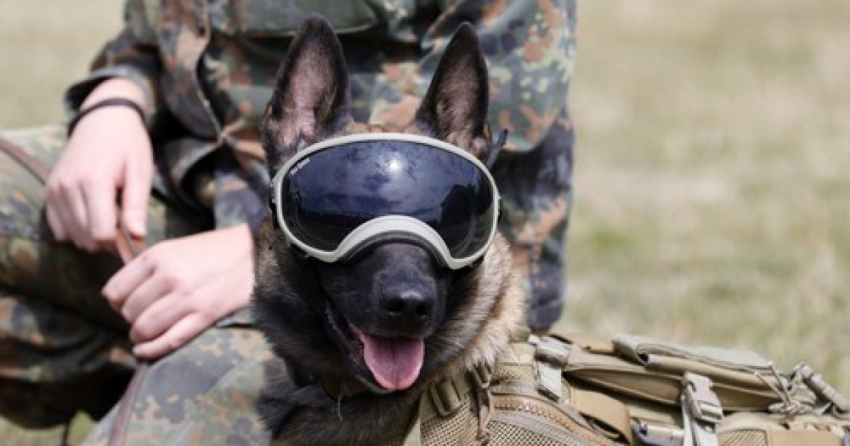 GERMANY COVID19 CORONAVIRUS PANDEMIC