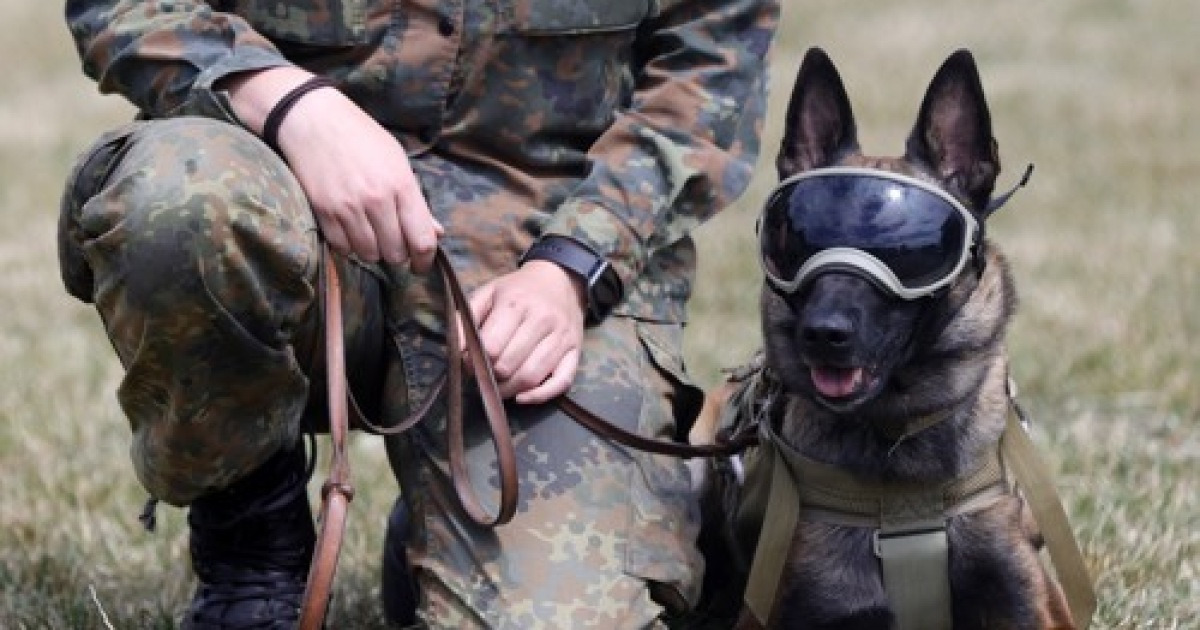 GERMANY COVID19 CORONAVIRUS PANDEMIC