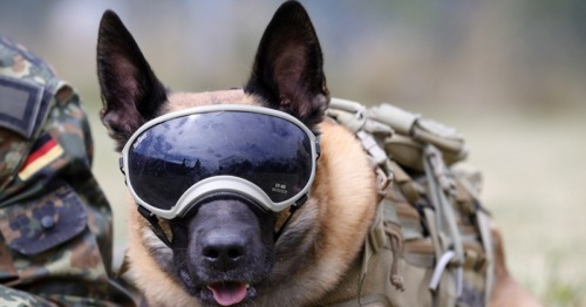 GERMANY COVID19 CORONAVIRUS PANDEMIC