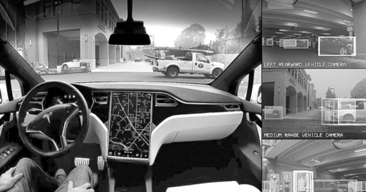 Tesla's catfish effect