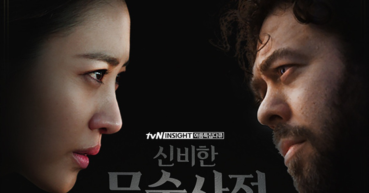 수현·댄 포글러, tvN 여름 특집 다큐 '신비한 무술사전' 출연