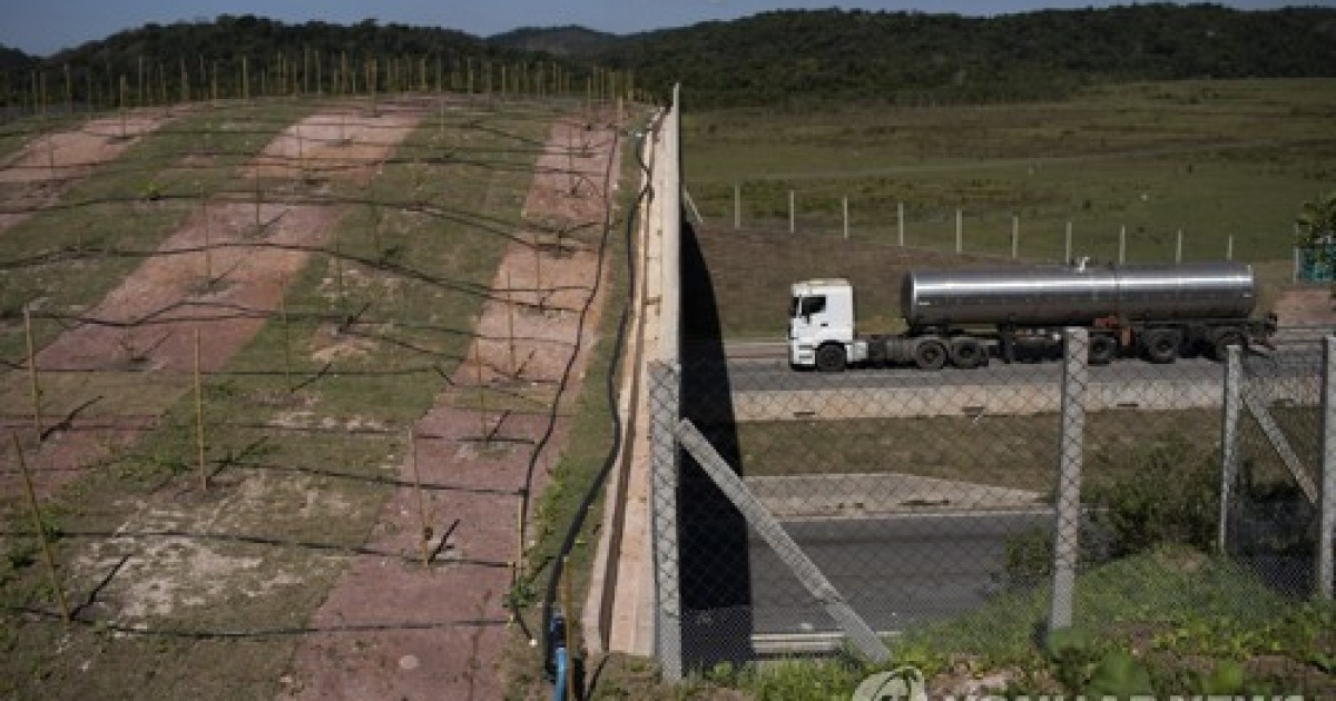 Brazil Monkey Corridor