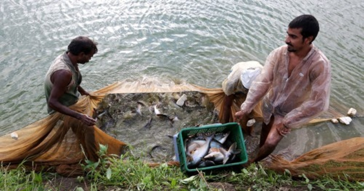 INDIA AGRICULTURE FISHING