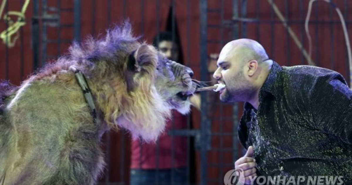 EGYPT ENTERTAINMENT CIRCUS