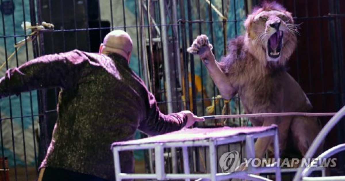 EGYPT ENTERTAINMENT CIRCUS