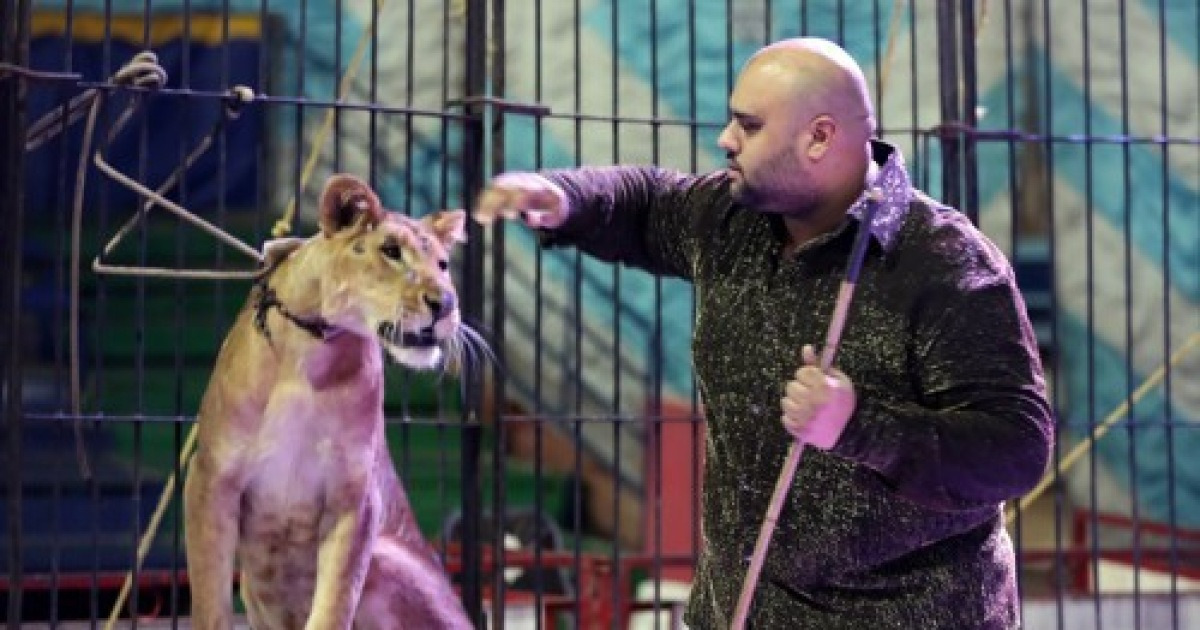 EGYPT ENTERTAINMENT CIRCUS