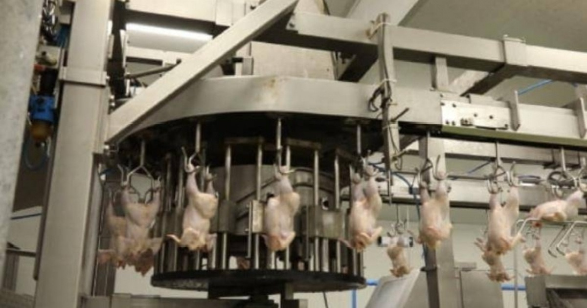 'PD수첩' BBQ-BHC, 서로 등 돌리게된 내막은? "당황스러워"