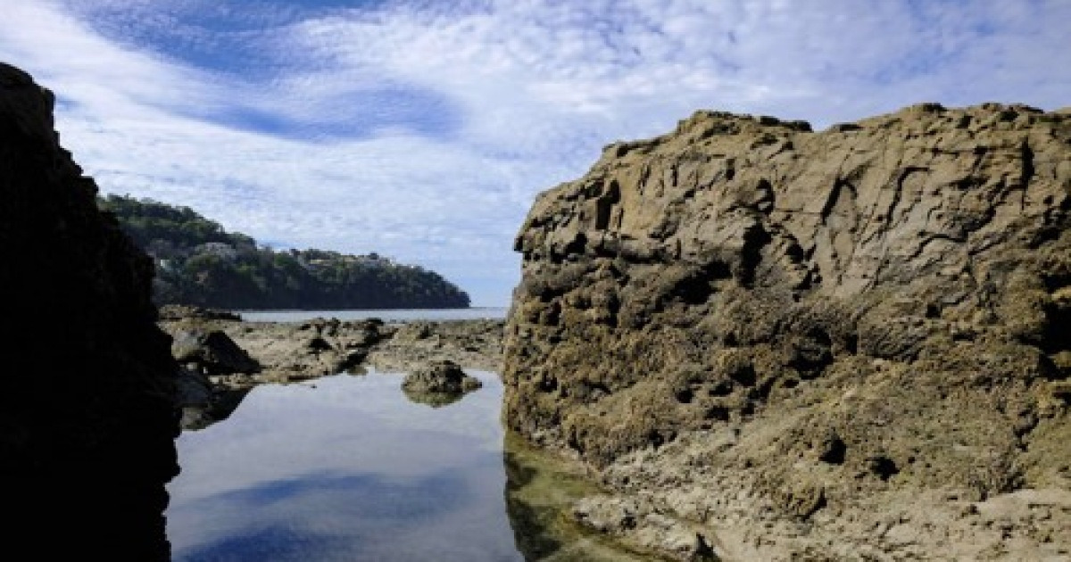 COSTA RICA NATURE ARTIFICIAL REEFS