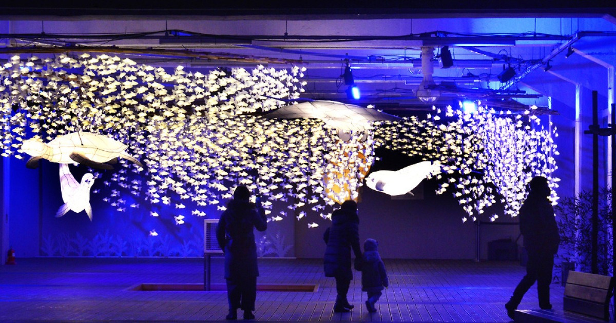[Eye Plus] Sea of light