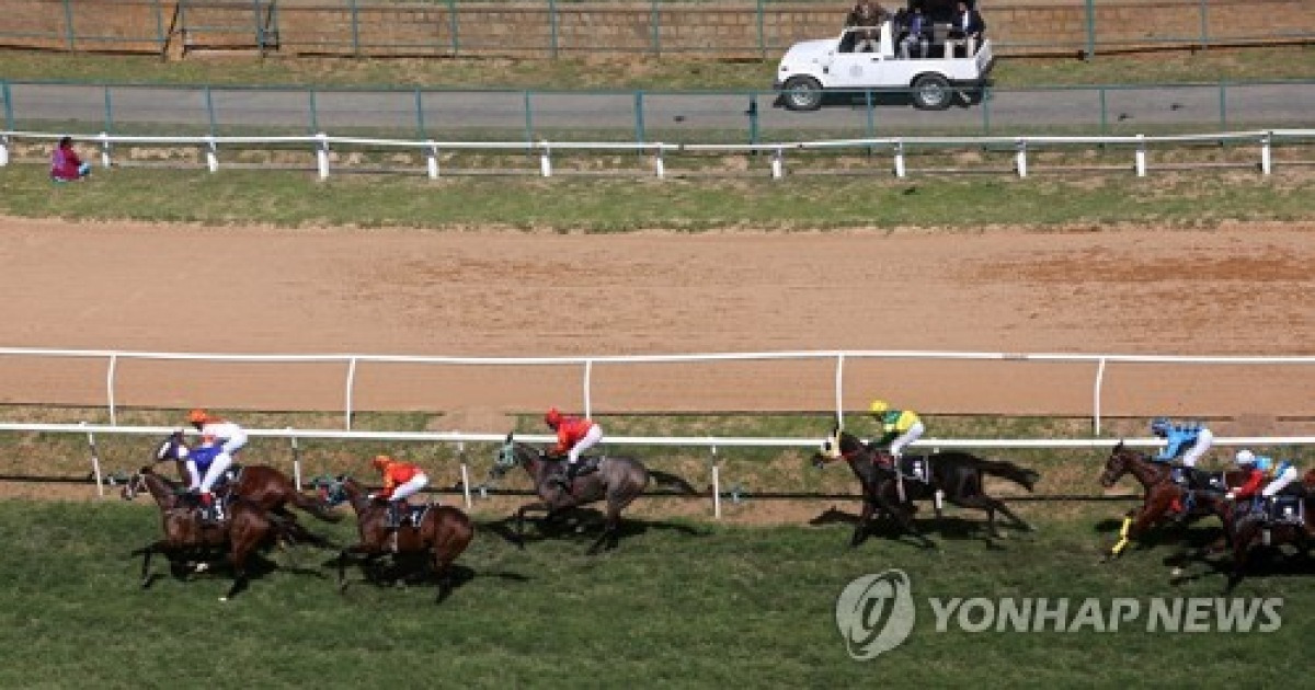 INDIA HORSE RACING