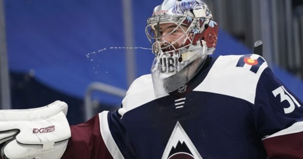 Wild Avalanche Hockey