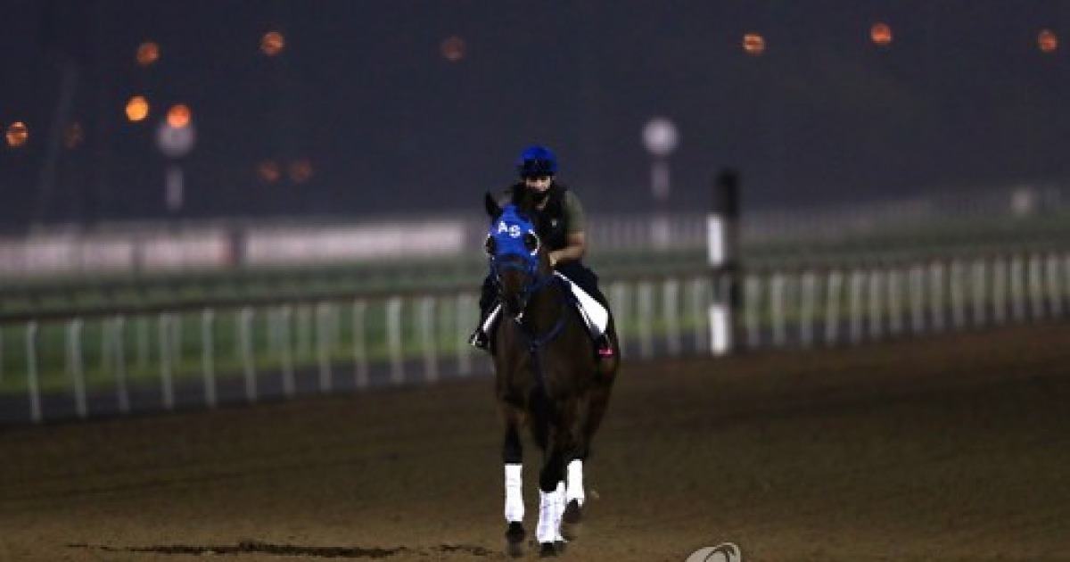 UAE HORSE RACING DUBAI WORLD CUP 2021