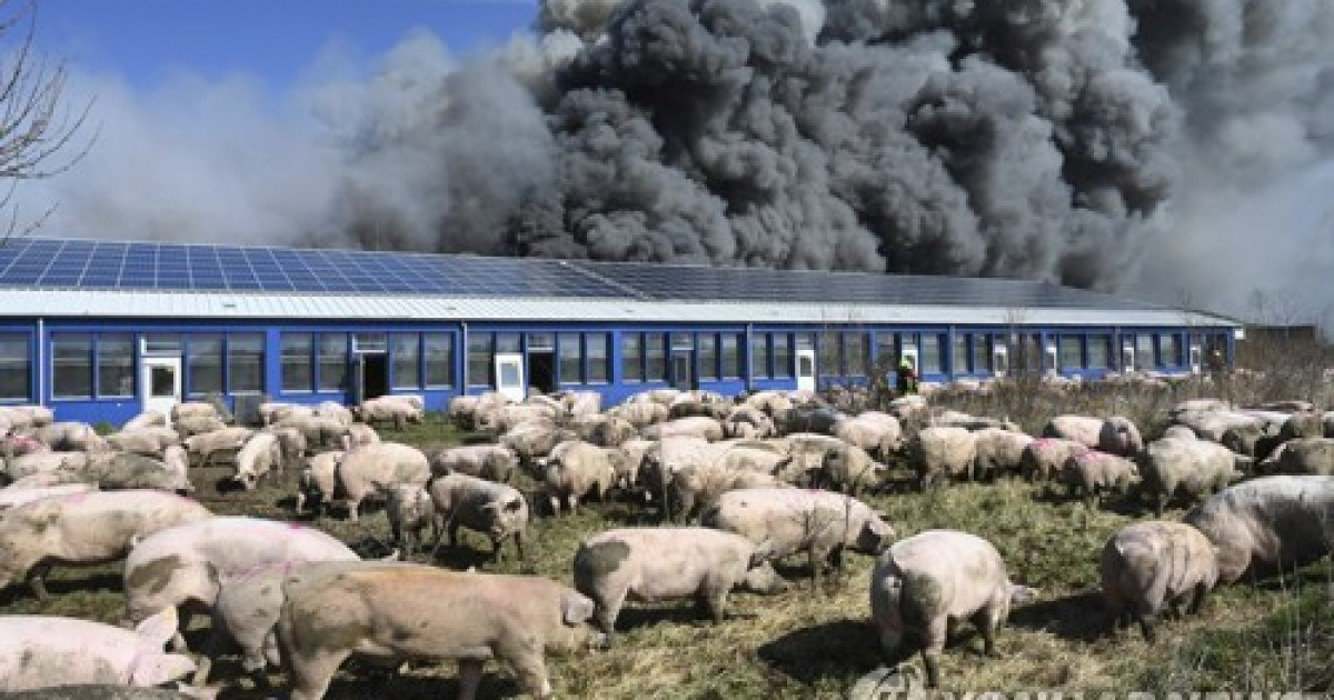 Germany Farm Fire