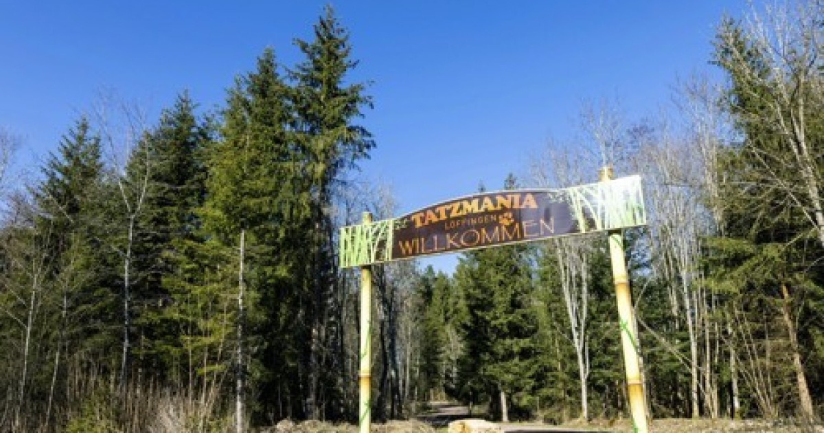 Germany Monkey Breakout