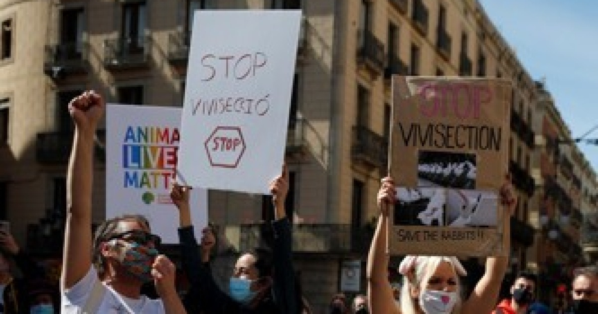 SPAIN PROTESTS ANIMALS