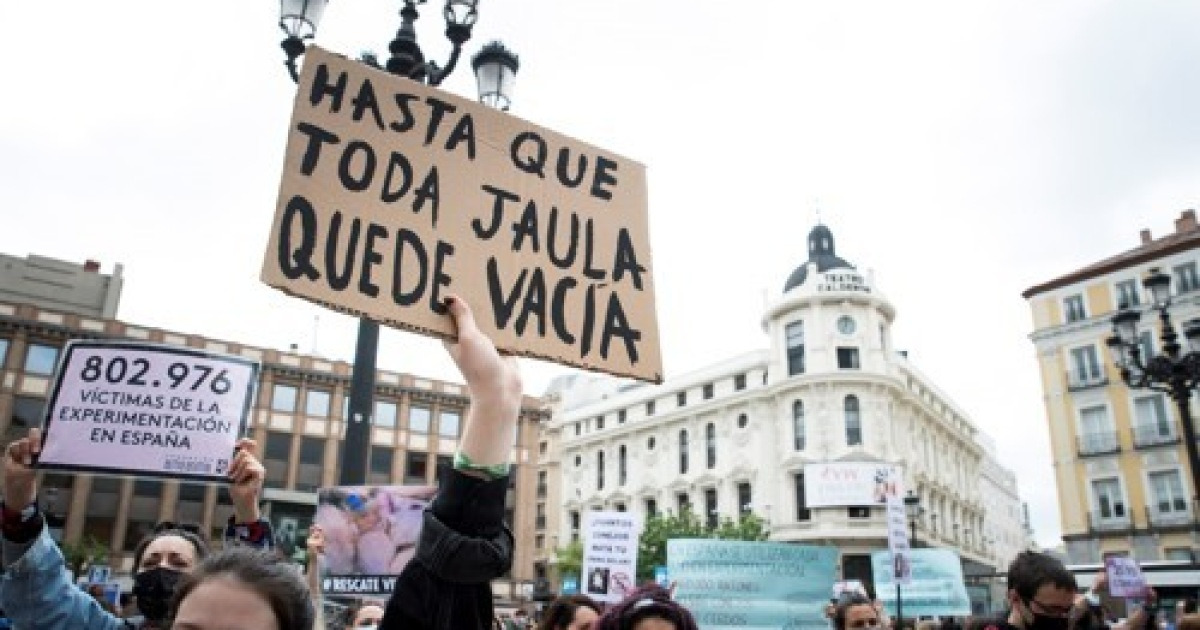 SPAIN PROTESTS ANIMALS