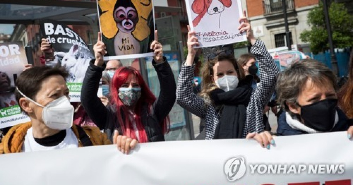 SPAIN PROTESTS ANIMALS