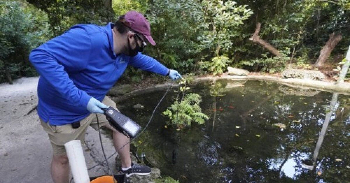 Fish Pond Deaths