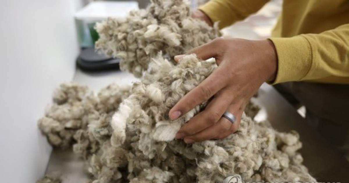 UT-Exchange-Wool Testing