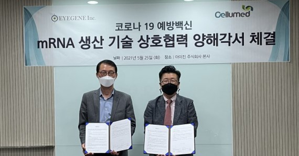 셀루메드 "고순도 mRNA 생산효소 5종 개발 본격화, 아이진과 MOU"