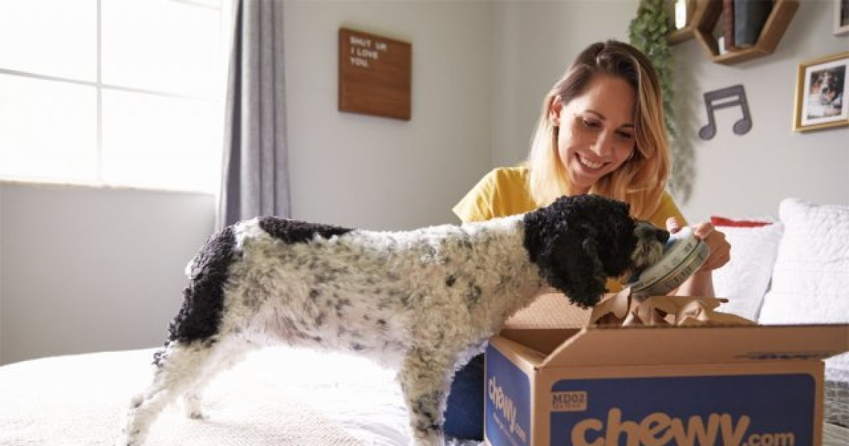 [DBR/Case Study:]반려동물 초상화-생일카.. MZ세대 감성을 훔치다