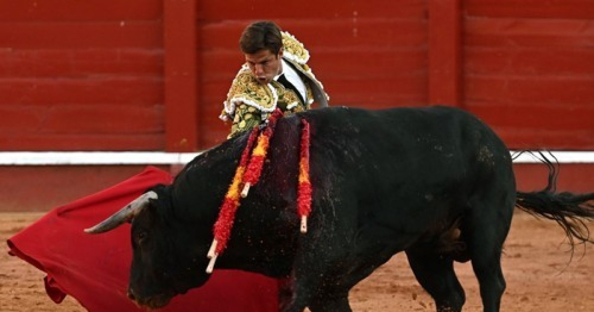SPAIN BULLFIGHTING