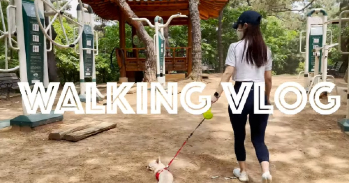 '빵순이' 이혜성, 163cm·41kg 비결.."5km 걷고 계단 이용"