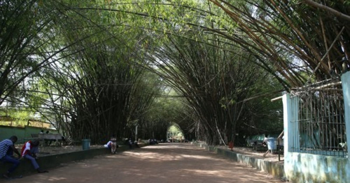 IVORY COAST WORLD DAY OF THE ENVIRONMENT