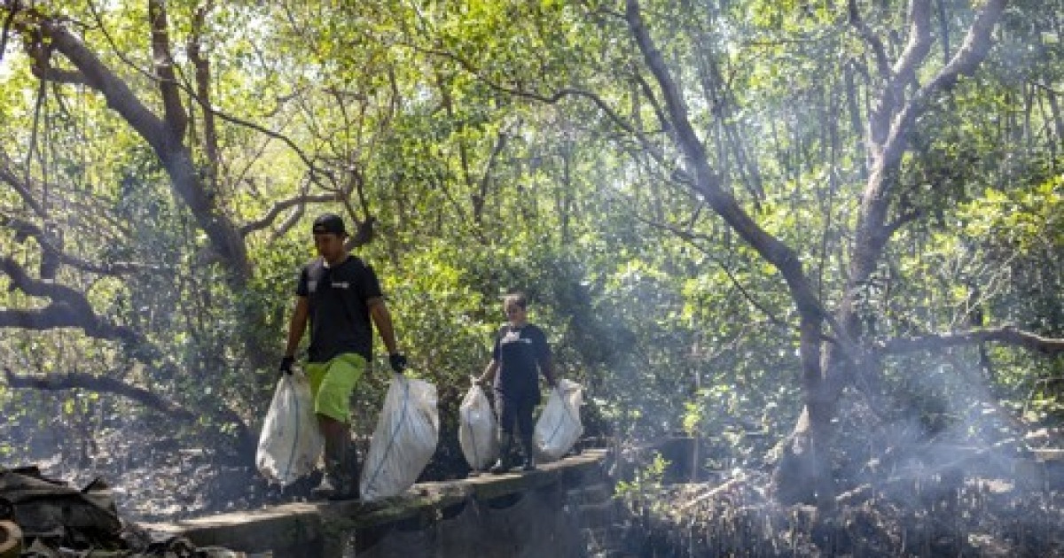 INDONESIA WORLD ENVIRONMENT DAY