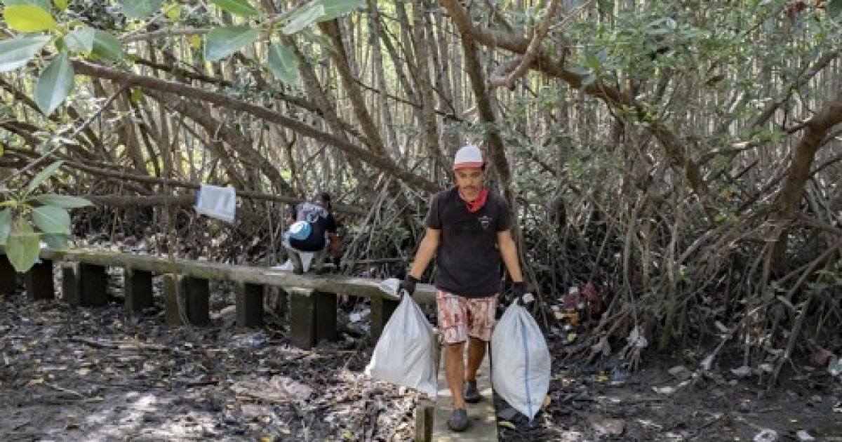 INDONESIA WORLD ENVIRONMENT DAY
