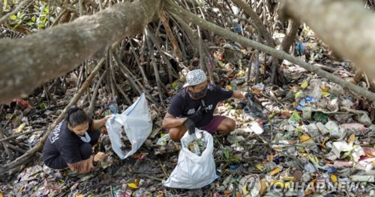 INDONESIA WORLD ENVIRONMENT DAY