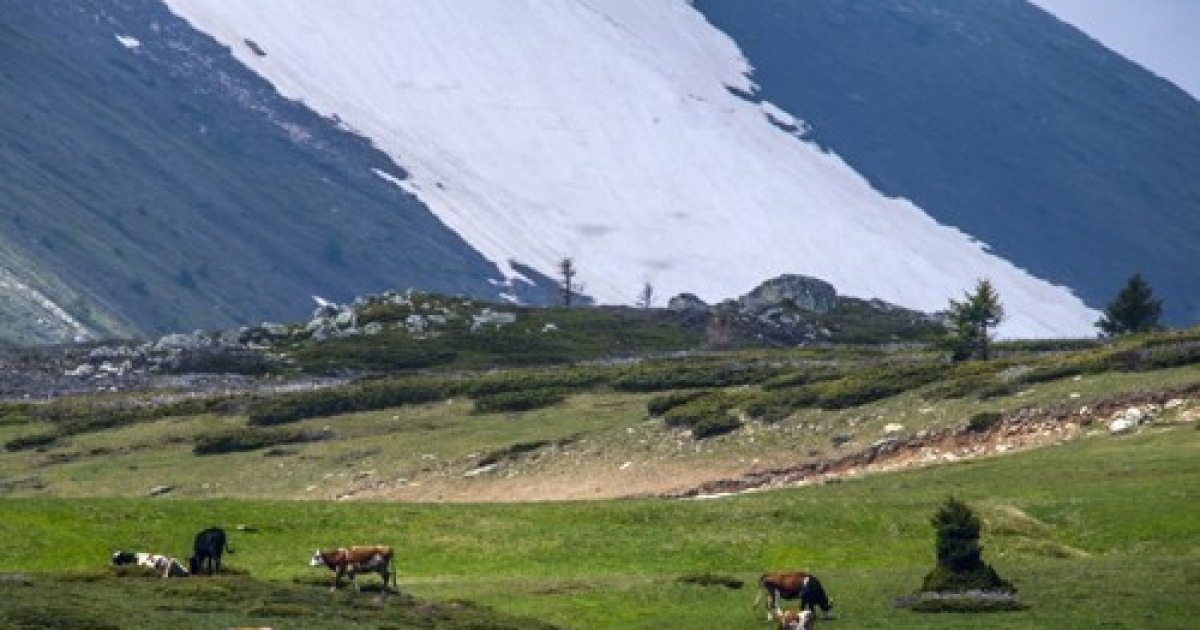 epaselect NORTH MACEDONIA PHOTO SET NATURE SHAR PLANINA
