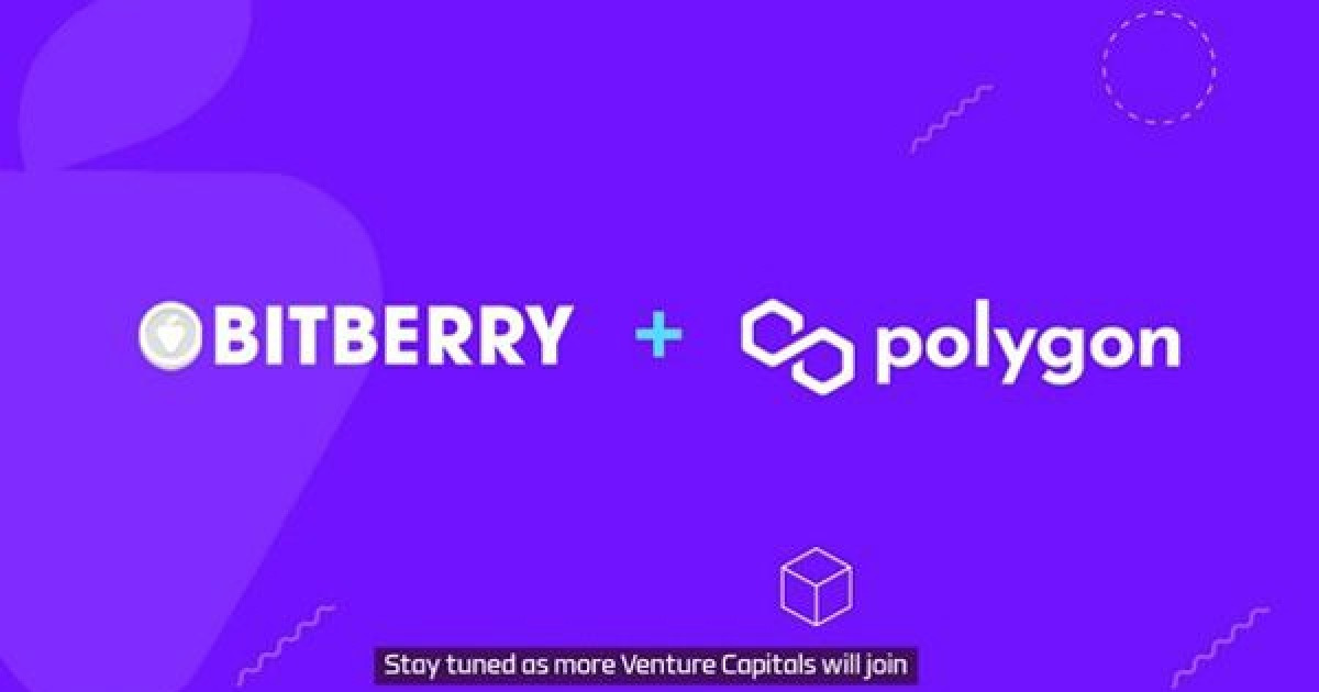 비트베리(Bitberry), 폴리곤(Polygon) 파트너쉽 발표