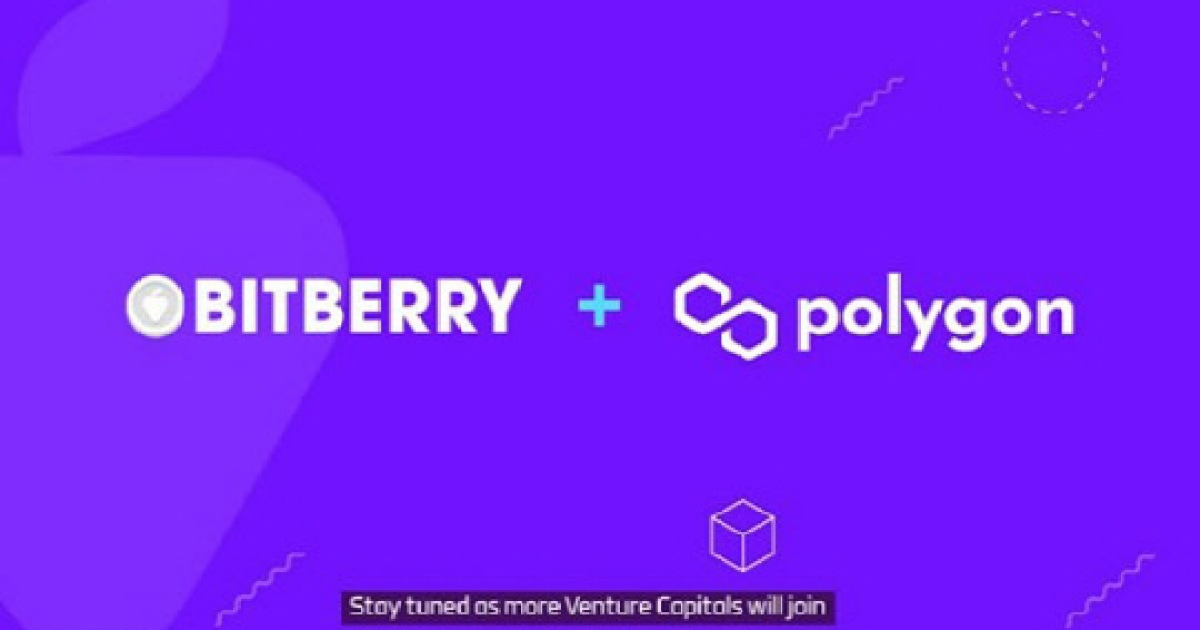 비트베리(Bitberry)-폴리곤(Polygon), 파트너쉽 체결